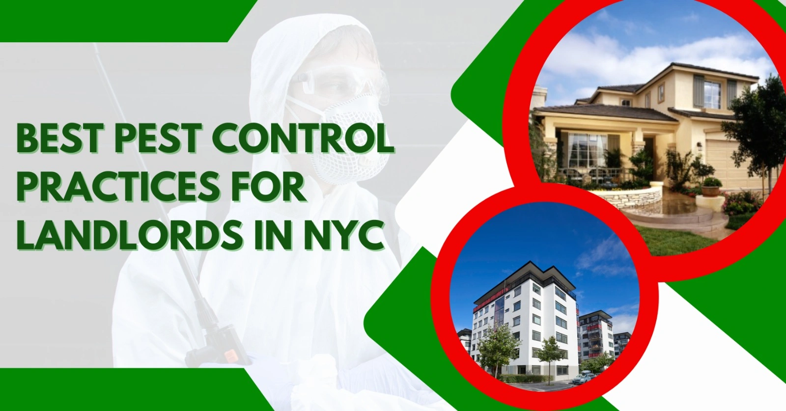 Best Pest Control Tips for Landlords in NYC - Best @ Pest NYC