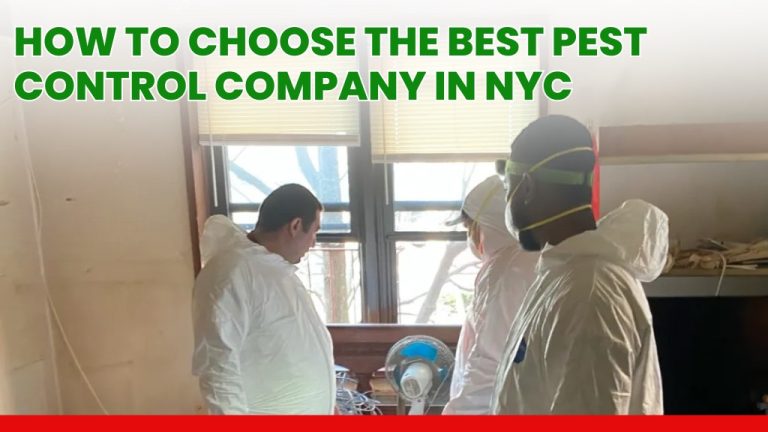 How to Choose the Best Pest Control Company in NY - Best@Pest Exterminating